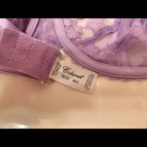 Cabernet | Intimates & Sleepwear | Cabernet Bra Purple Lace Bra Size 4c ...